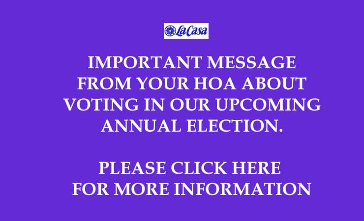 Voting Instructions & Help, January 2023